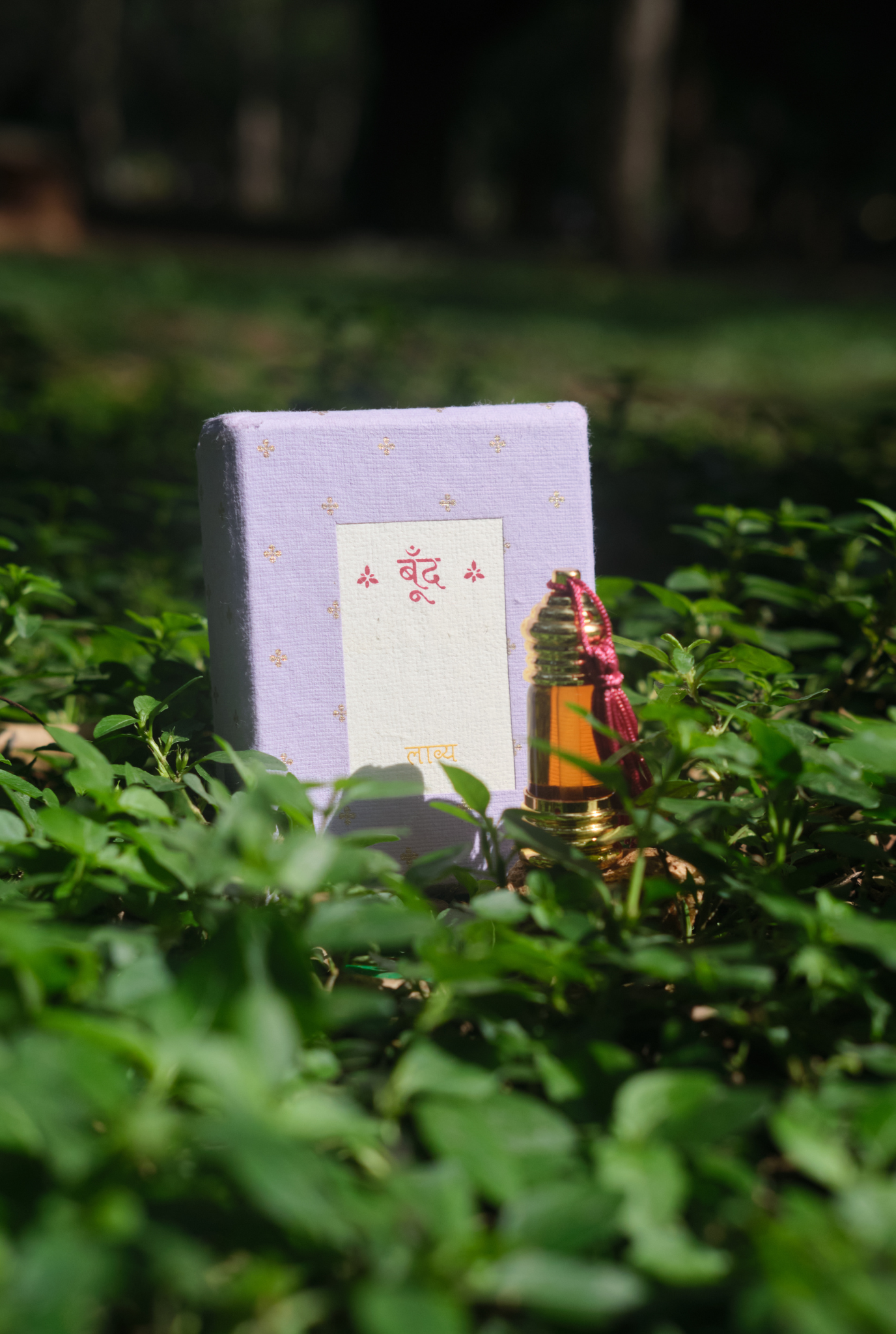 LAVYA FRAGRANCE – JODI